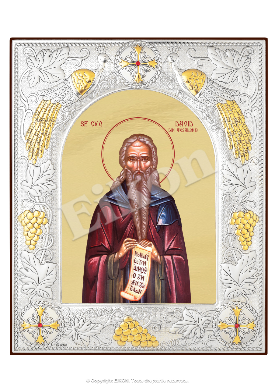 Sf. Cuv. David din Tesalonic - EIKON